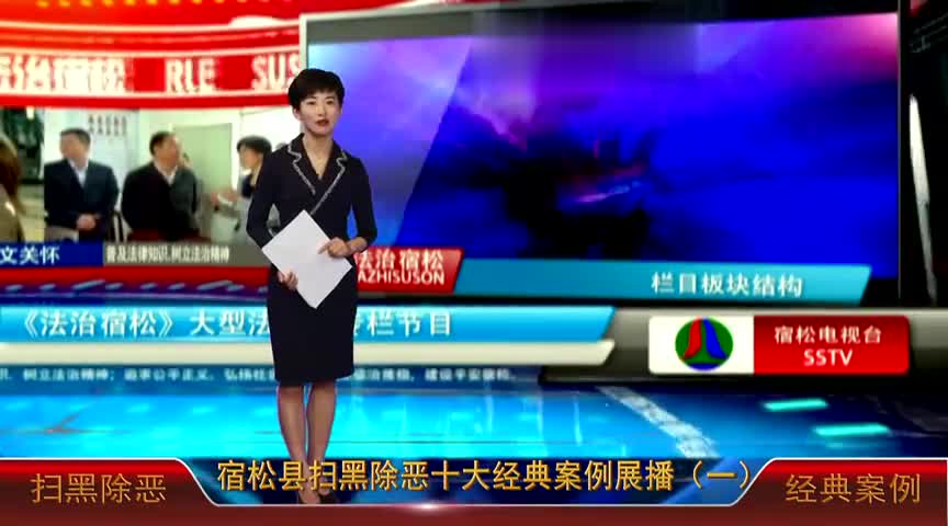 宿松县扫黑除恶十大经典案例展播:二