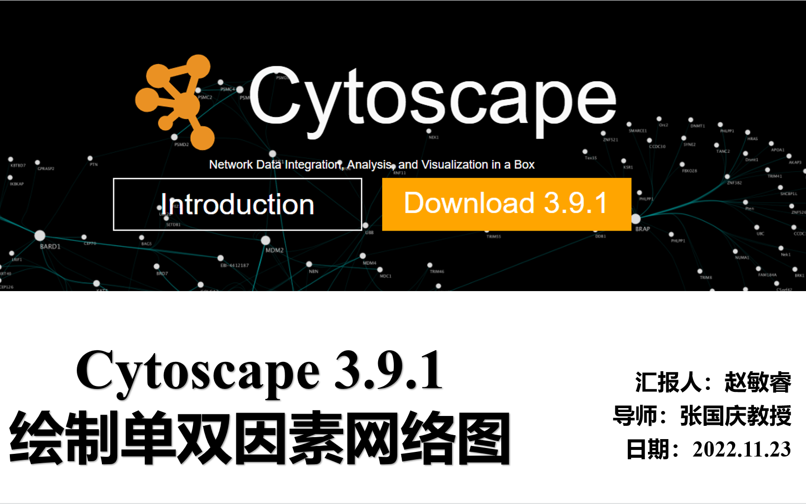 Cytoscape 3.9.1绘制单双因素网络图