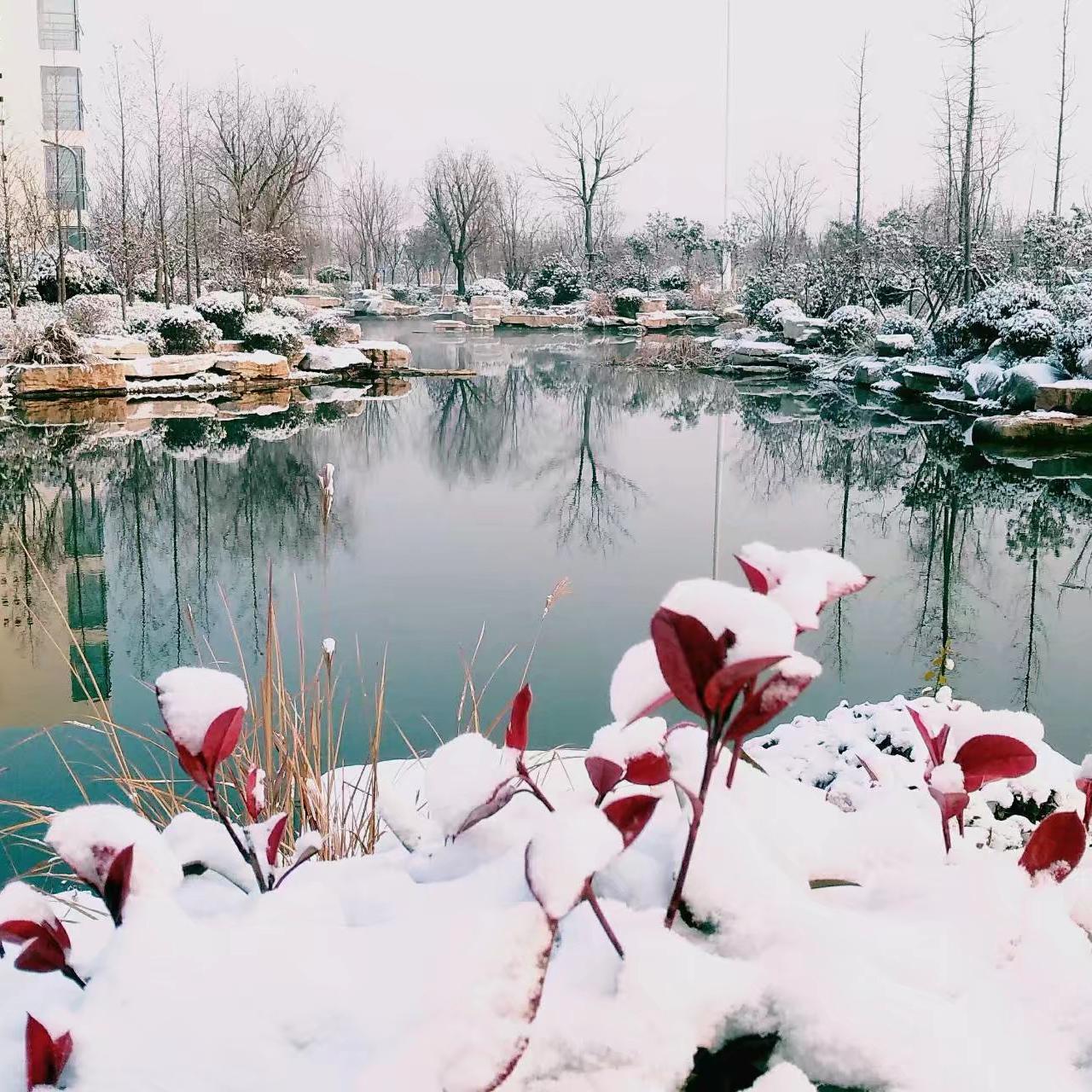 青春是一道明媚达伤 