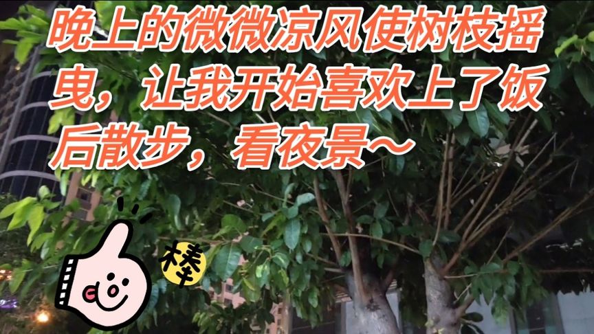 晚上的微微凉风使树枝摇曳,让我开始喜欢上了饭后散步,看夜景～