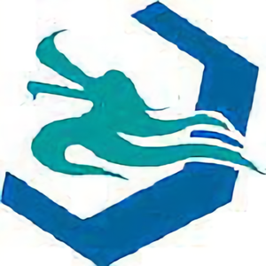 龙海起重高端起重工具 