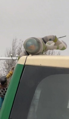 前方车上的挂件真有趣,忍不住想要救救它