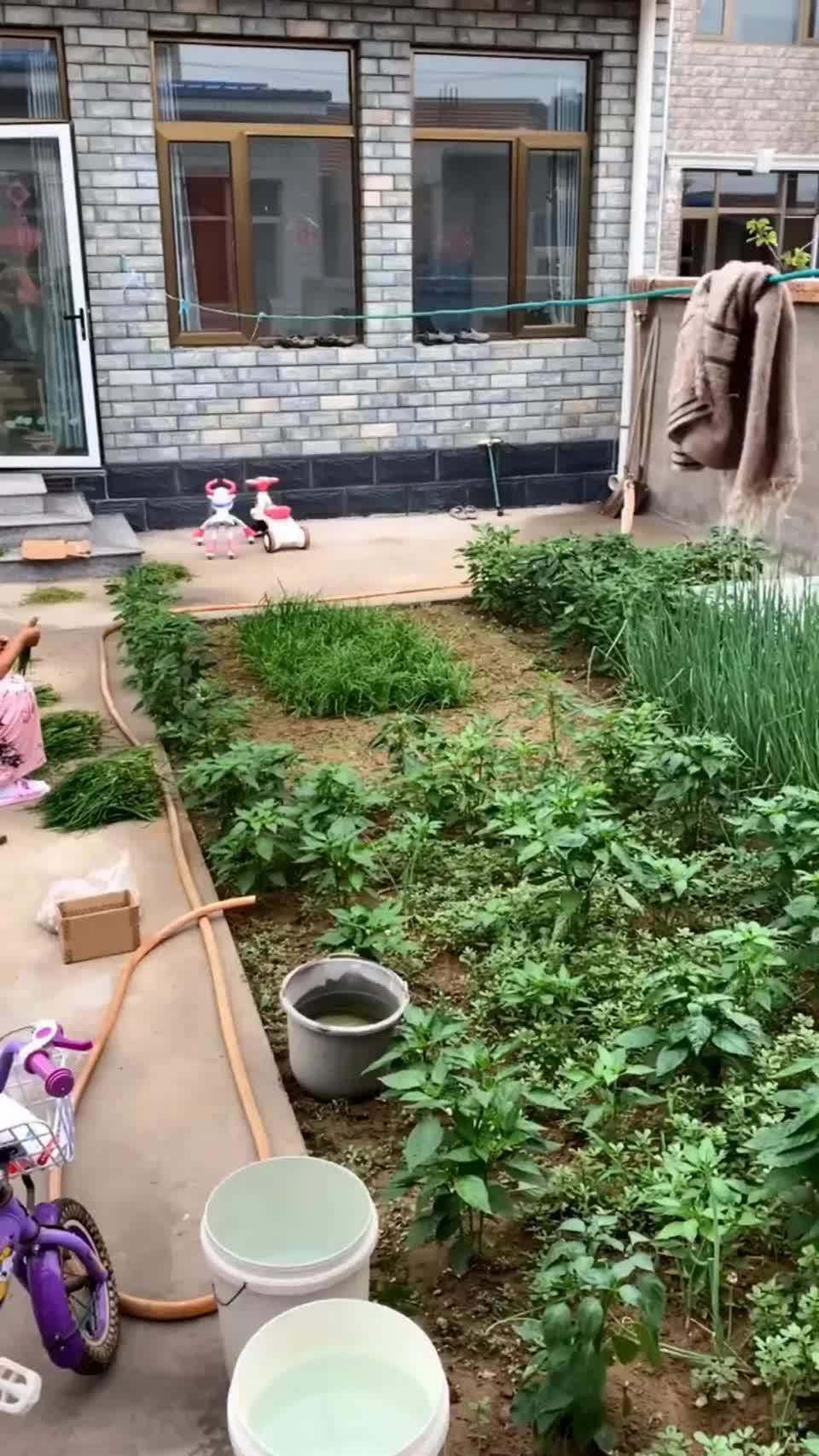 早上睡醒推开门,仿佛回到了小时候!