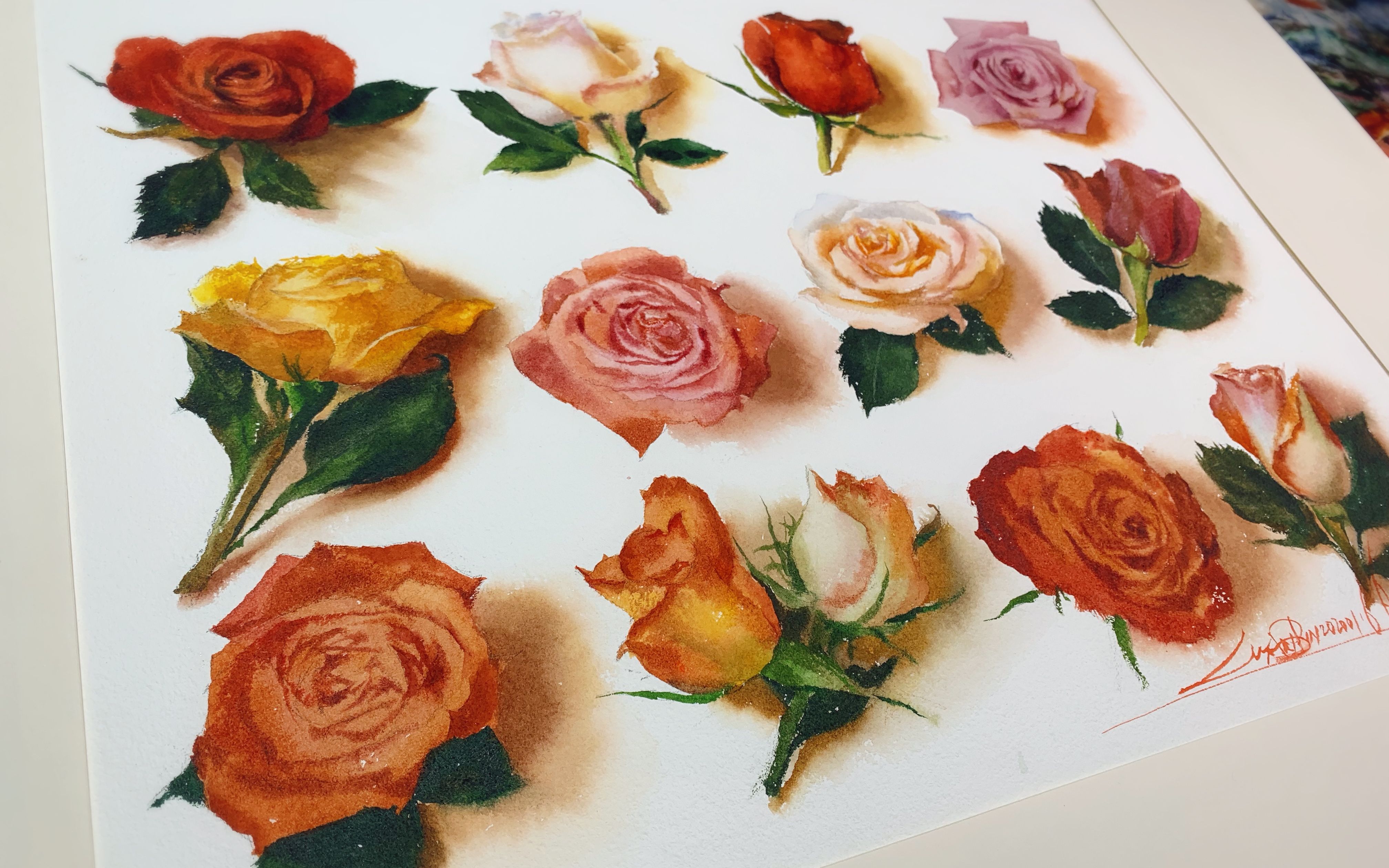 绘画宅指南——足不出户,采集自然万物【水彩作画实录&装框流程】