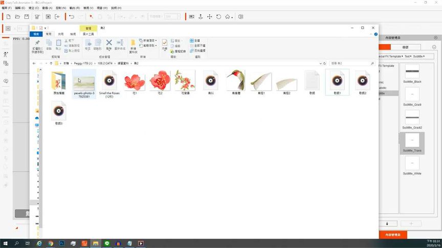 CAT4动画制作教程 动态搭配音乐,音效, 声音, 文字 鸟练习1
