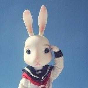 蝴蝶兰说娱乐 