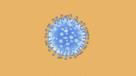 一分钟了解甲型H1N1流感病毒