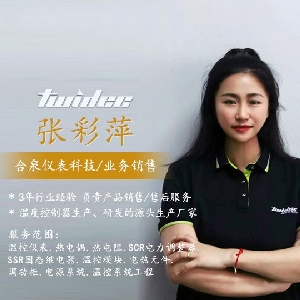电力调整器合泉小张 