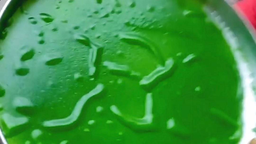 果蔬凉皮制作方法: 第一步买一个渣浆分离机, : 首先把沉淀一晚上的...