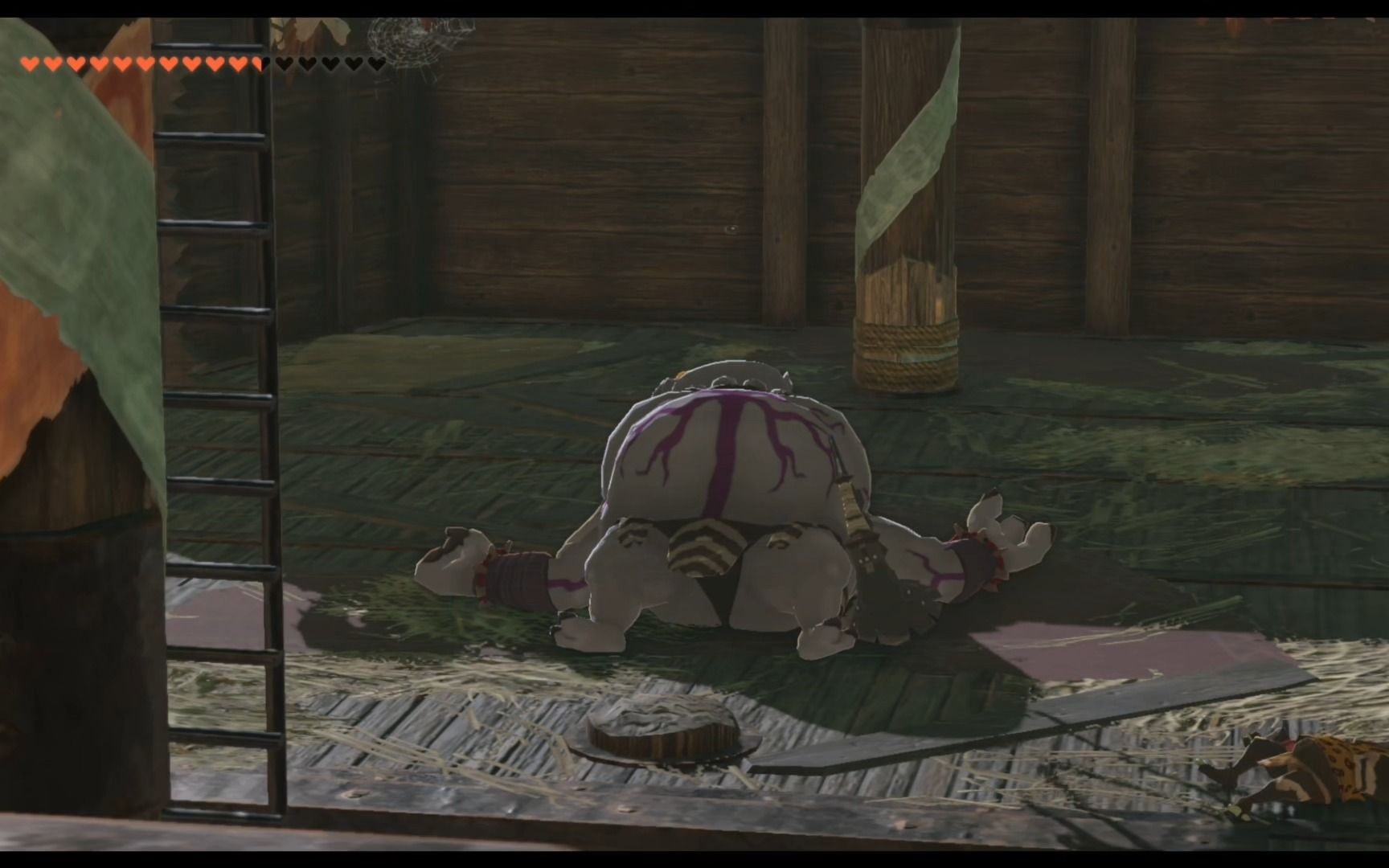 塞尔达传说:王国之泪 第17天