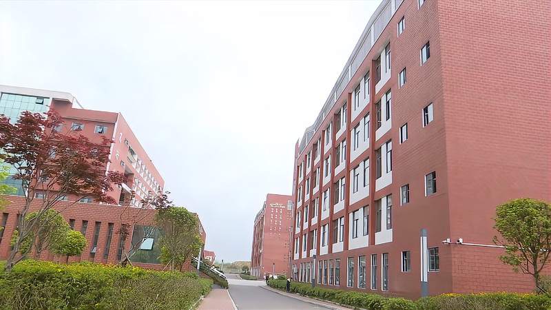 贵州贞丰:推动教育高质量发展 办好人民满意的教育