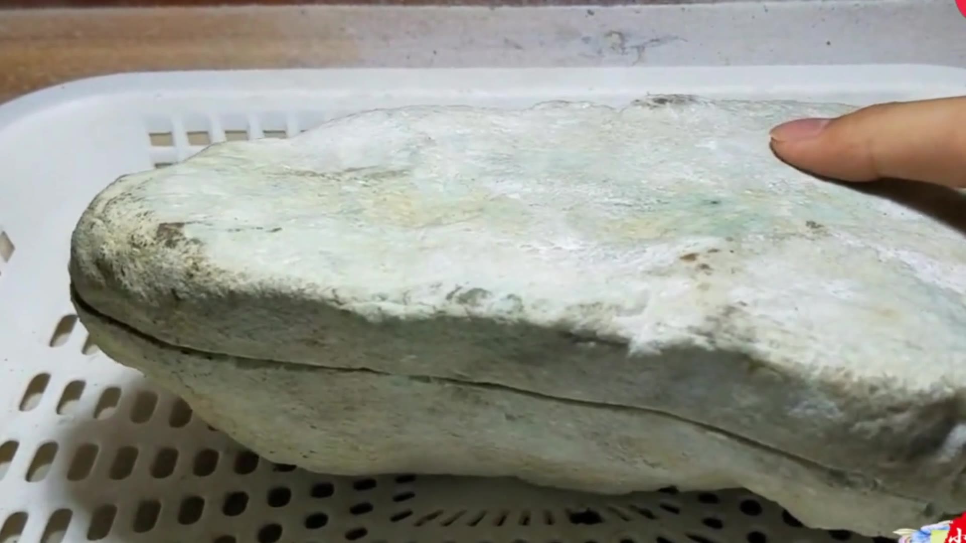 切石现场,这块翡翠原石皮壳上一条色带,不知能否一刀爆色?