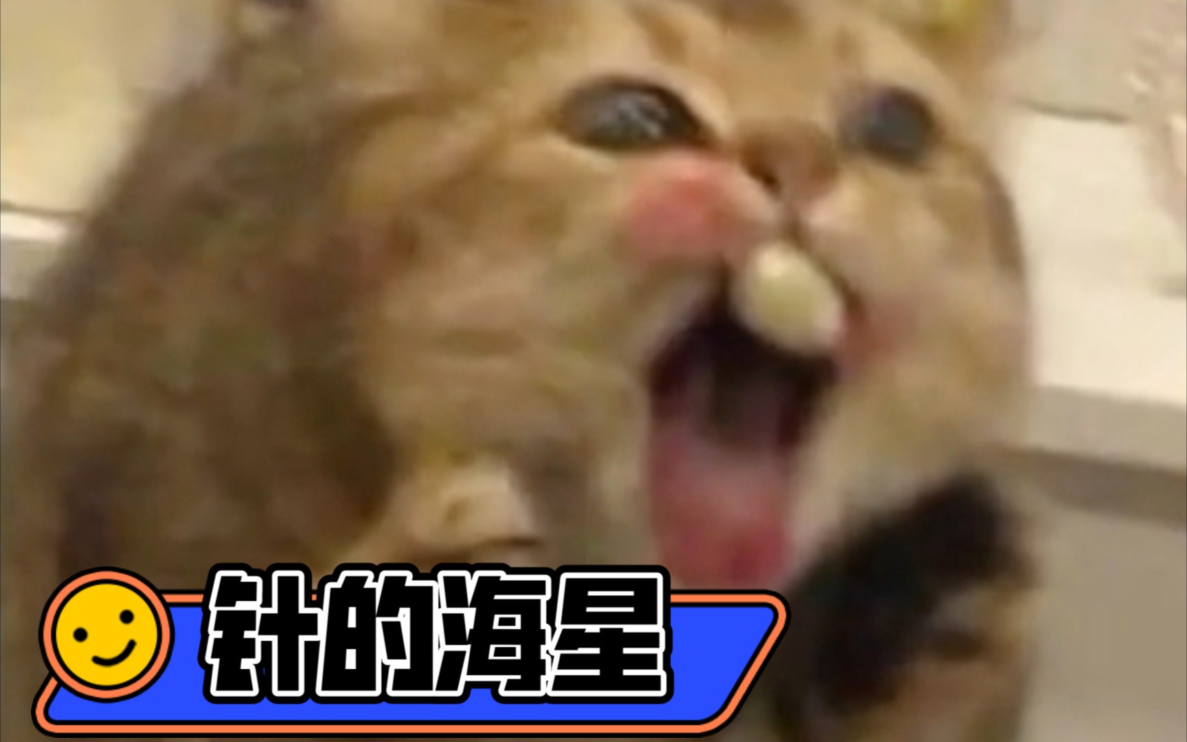 tasker实现简单的充电提示音