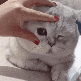 季通筹 