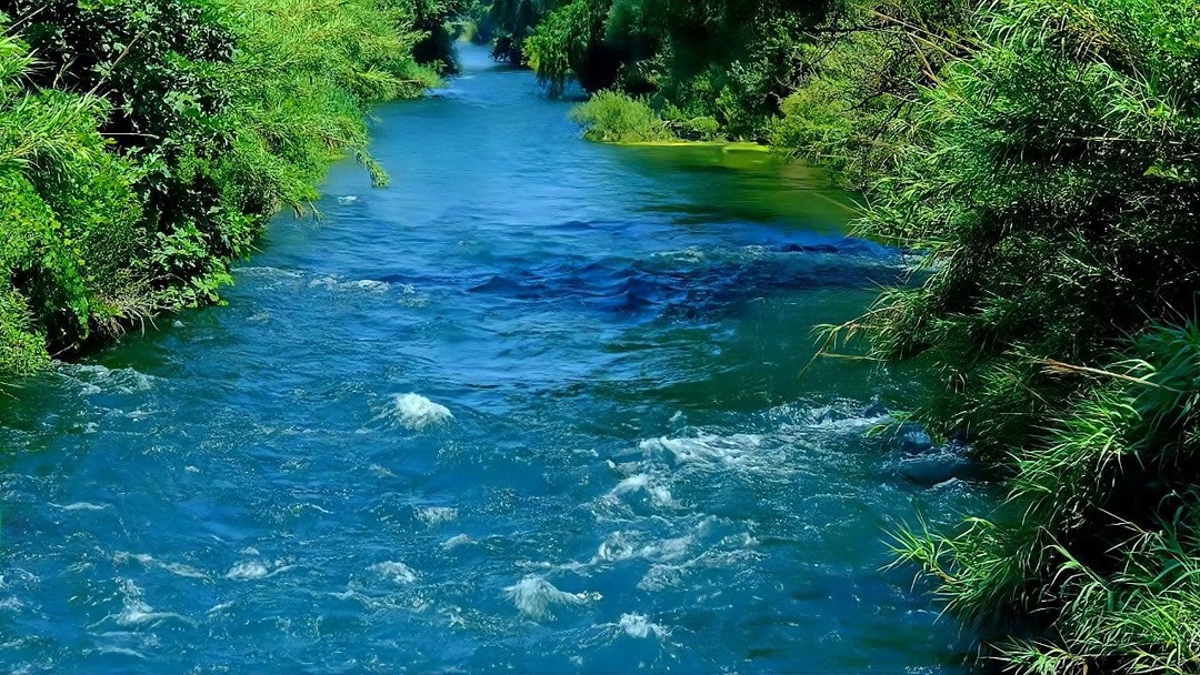 唯美森林流水风景视频素材