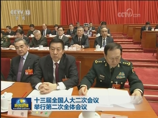 [视频]十三届全国人大二次会议举行第二次全体会议