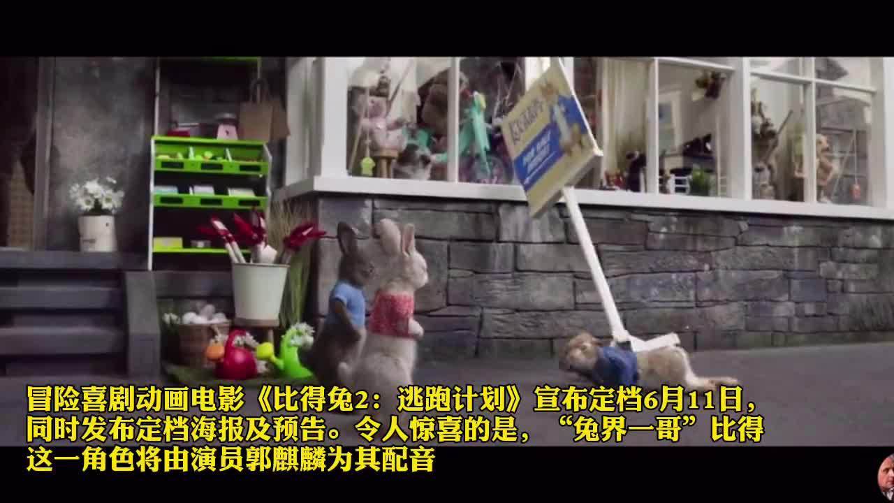 果然视频郭麒麟为动画电影《比得兔2》配音,成"兔界一哥"