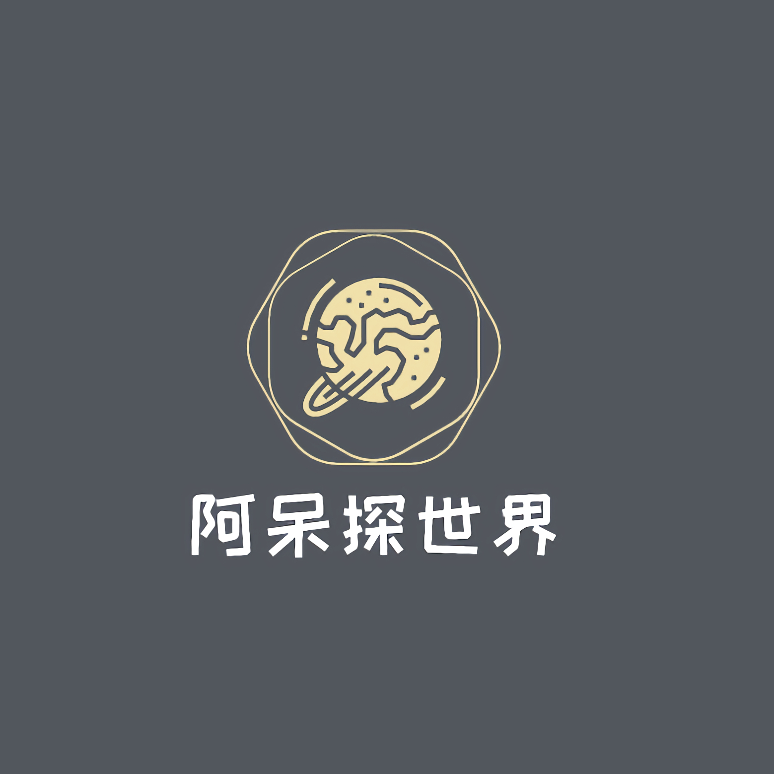 阿呆探世界 