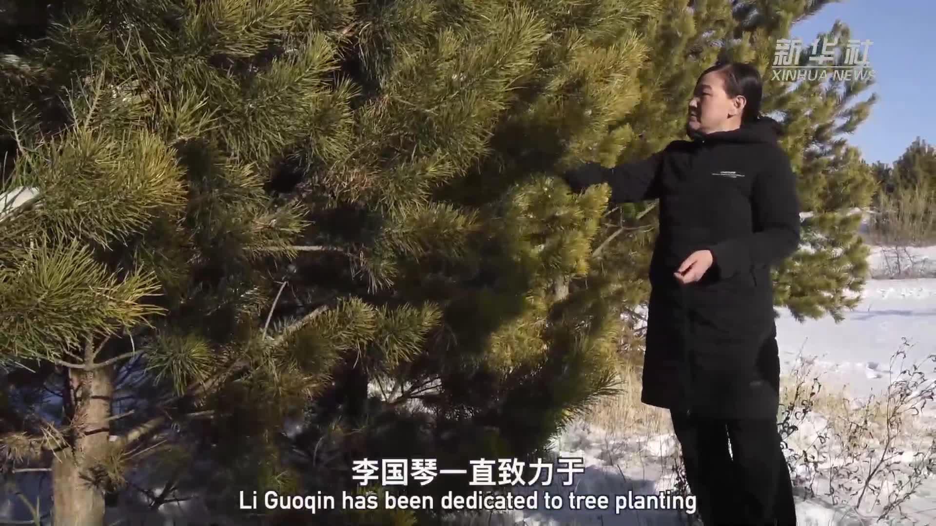 微视频丨“绿色长城”筑北疆