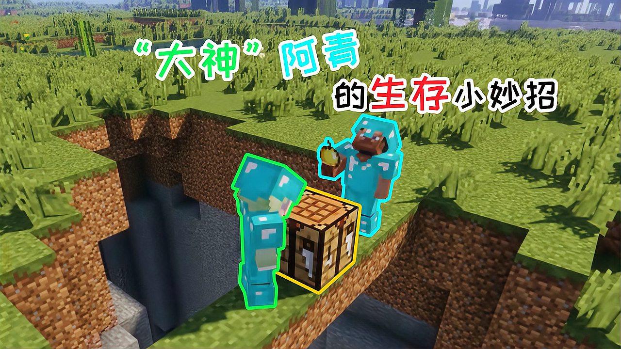 我的世界:羊毛的大用处,阿青砍树变坟头,保护环境爱护阿青