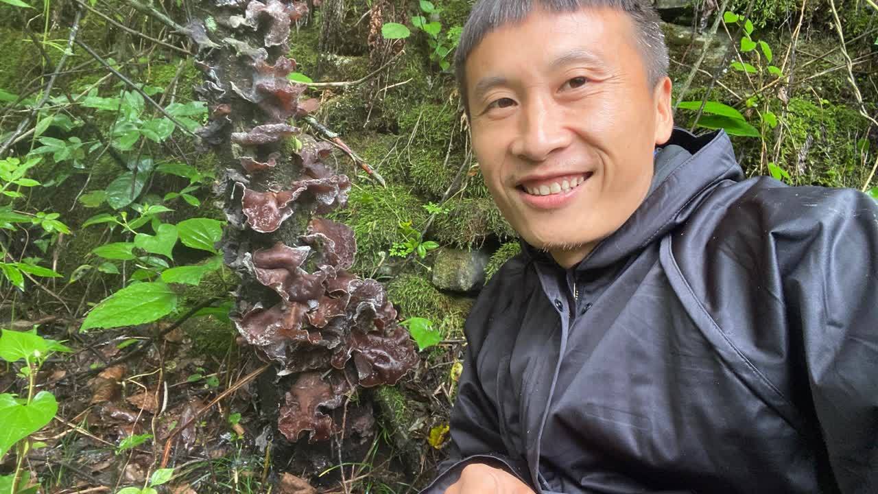 连续下了几天雨,山里的野生菌菇类好生长,秦歌今天可收获不少
