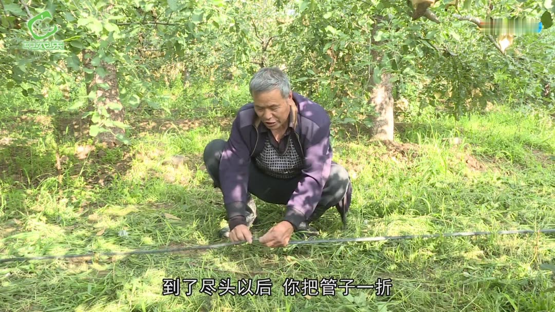 滴管小设施解决果园大问题