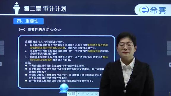 02审计计划02