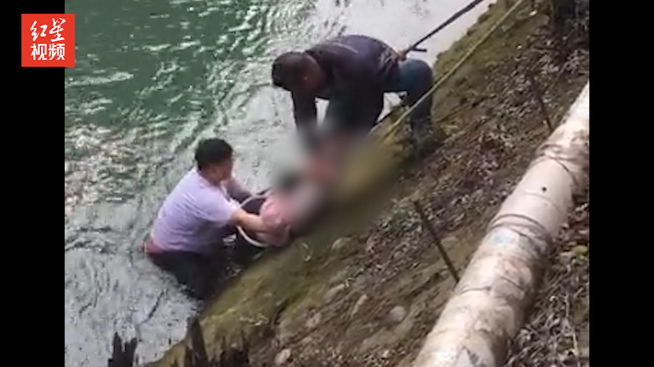 女子落水!90后小伙从自家窗户跳河救人,还有5个邻居赶来