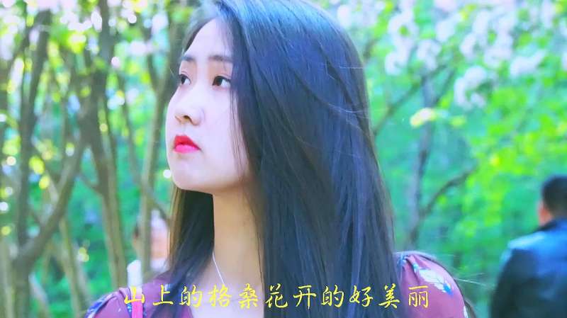 这首情歌太好听了,亲爱的姑娘我爱你,为你付出一切我也愿意!