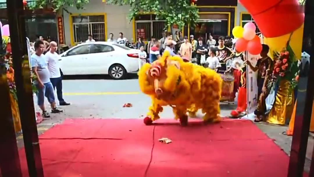 农村舞狮视频 开业醒狮表演舞狮