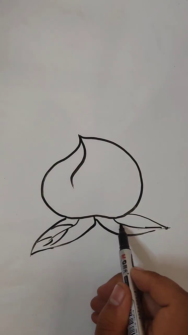 简笔画画一颗桃子绘画简笔画画画