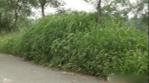 汽车解说试驾新凯美瑞——骏瑞2.5S运动版的缺点与优点