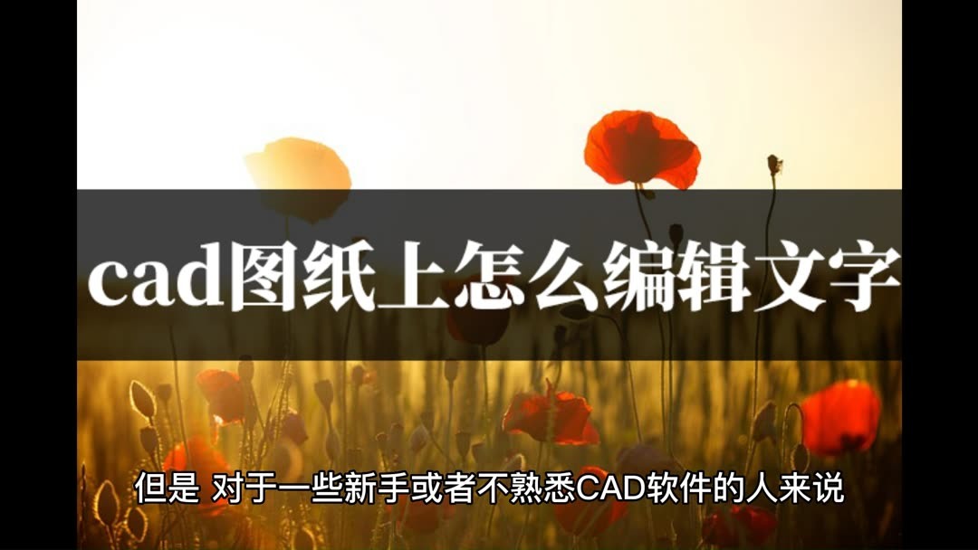 cad图纸上怎么编辑文字?用它轻松解决