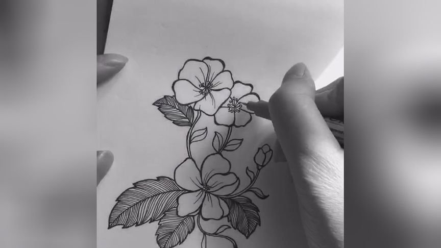 针管笔手绘线条花枝小教程