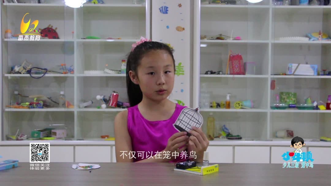 小牛顿科学班科学启蒙教育笼中鸟视觉暂留