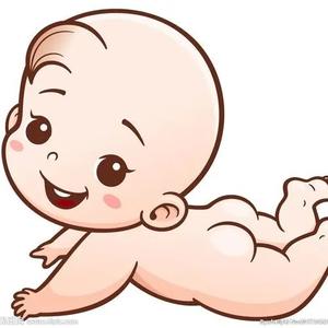 宝宝动画系列 