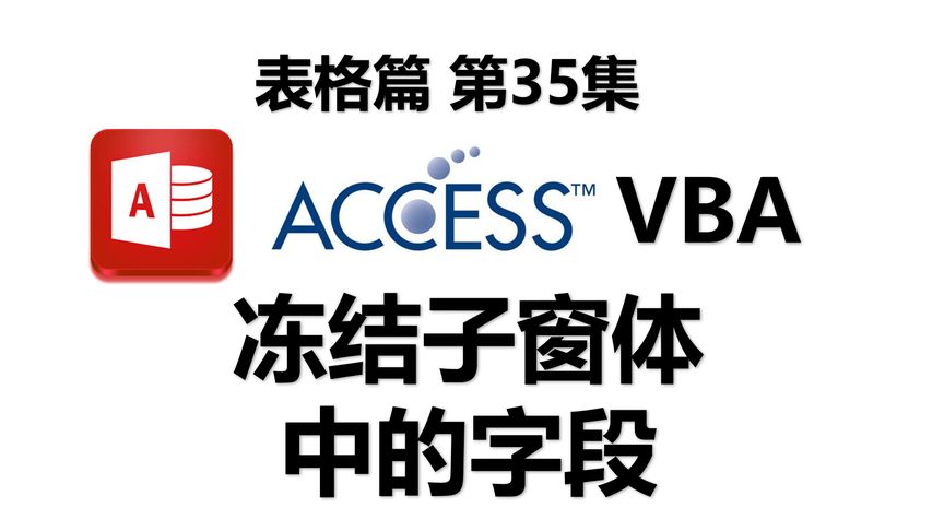 AccessVBA教程 表格篇35 冻结子窗体中的字段