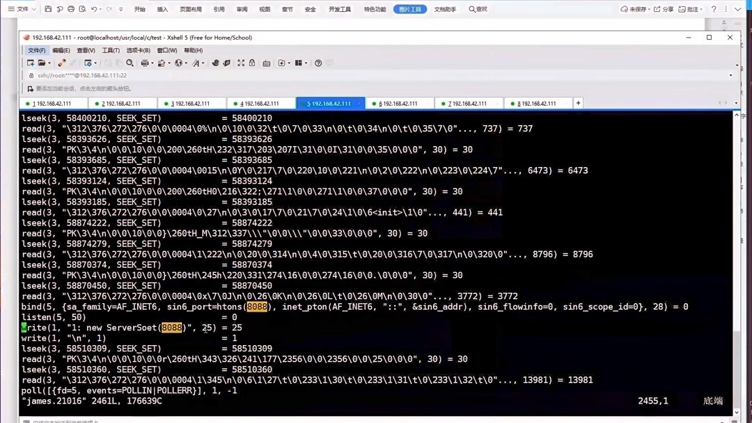 Redis底层机制解读:Java主线程与主方法线程及子线程内部实现机制