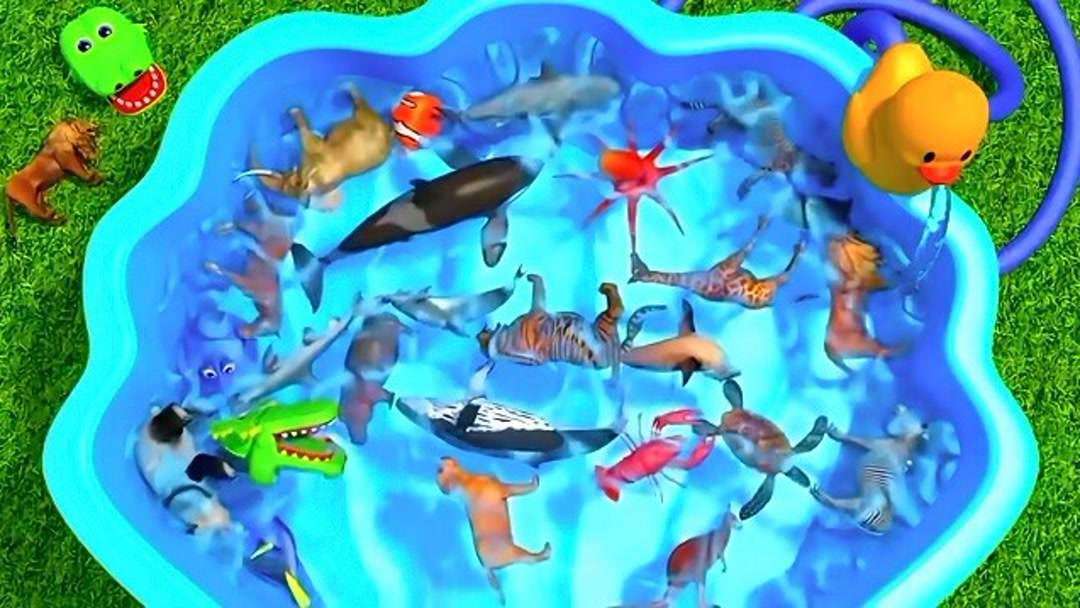 少儿卡通动画 介绍企鹅,小狗和猫咪 斑马 狮子 老虎 益智玩具