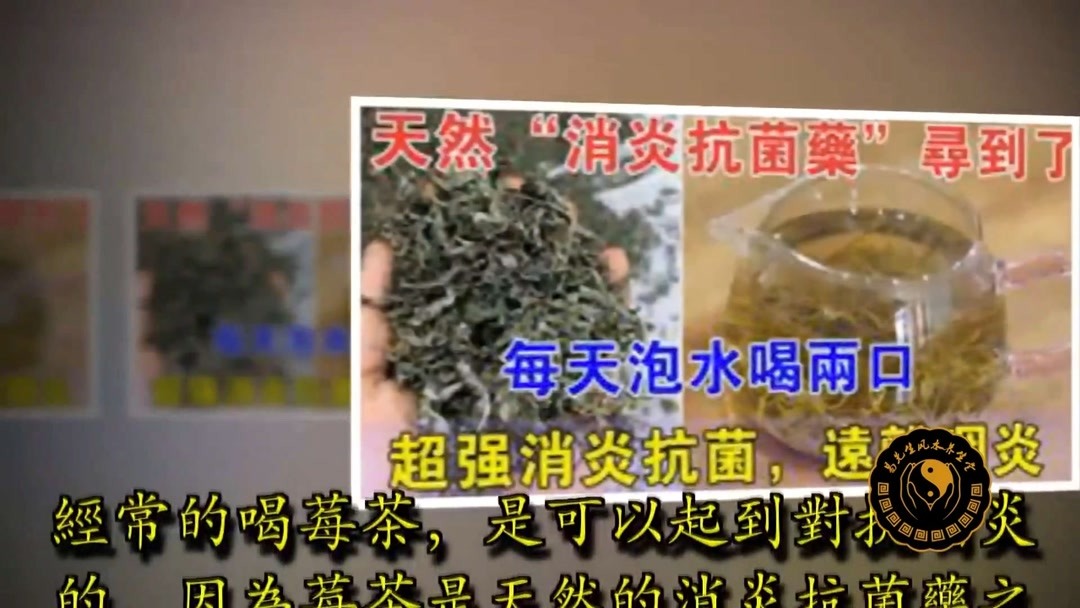 天然消炎抗菌药寻到了,每天泡水喝两口,超强消炎抗菌