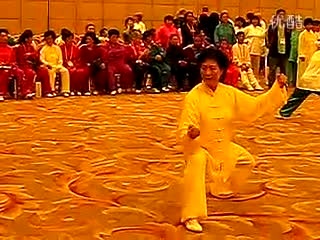 第三届国际混元太极拳交流大会-大连代表队-金奖得主-汪锁荣