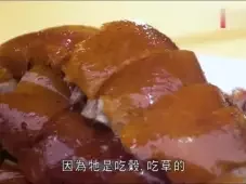 順德大头华烧鹅 老板说要用新会的百年陈皮提味 最好吃的是鹅肺!