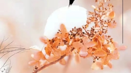 2011年03月08日在南宁南湖公园旅游