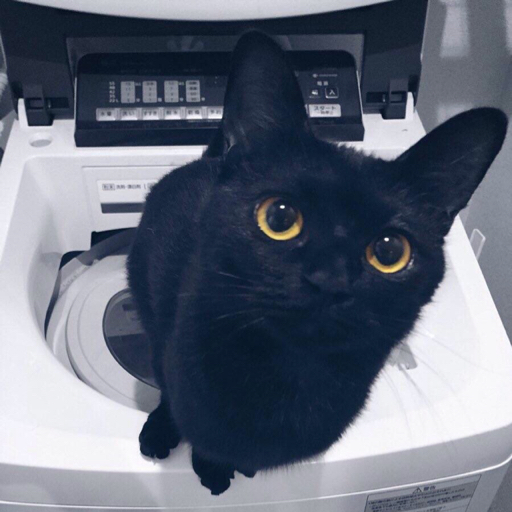 世界的我跟世界 