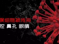 新型冠状病毒预防注意简介