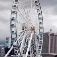 小狸电竞游戏解说 