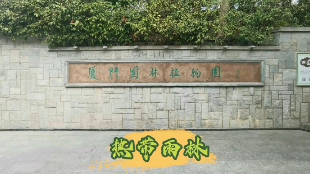玩的不亦乐乎的植物种类繁多的厦门园林植物园热带雨林园