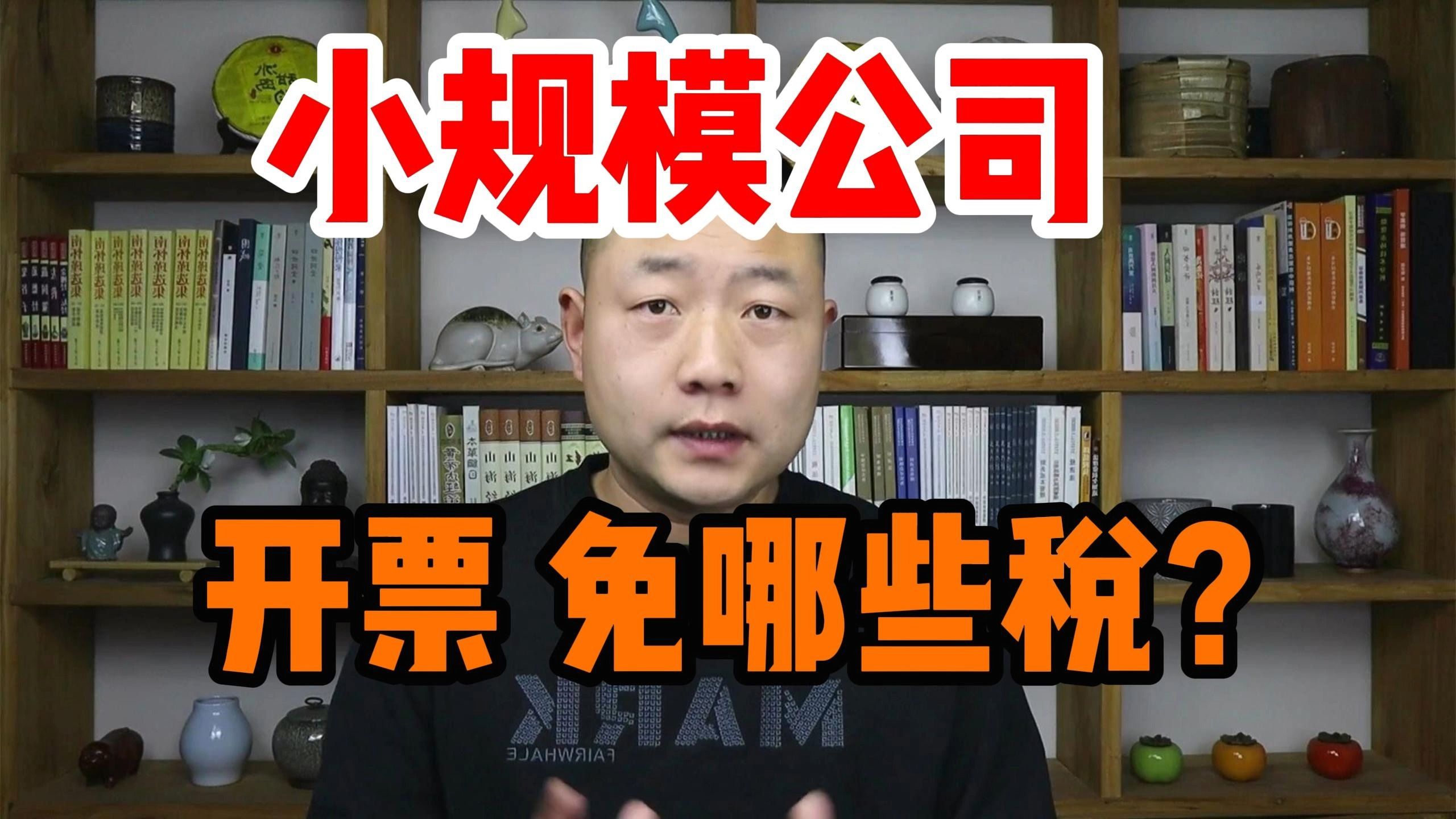 小规模纳税人公司,免税政策免的哪些?哪些不免?