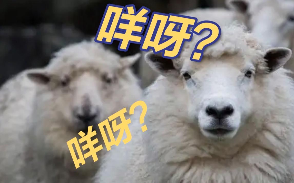 咩?哞?牛羊打嗝要付费?新西兰:为减少温室气体排放