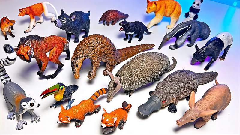 缤纷野生动物模型玩具展示